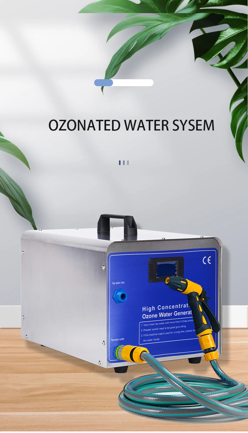 SH Swimming Pool Water Treatment Ozone Generator Household Ozone Water ...