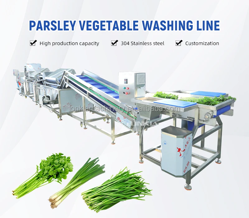 Large Scale Leafy Vegetable Cleaning Equipment High Quality Fresh Herb ...