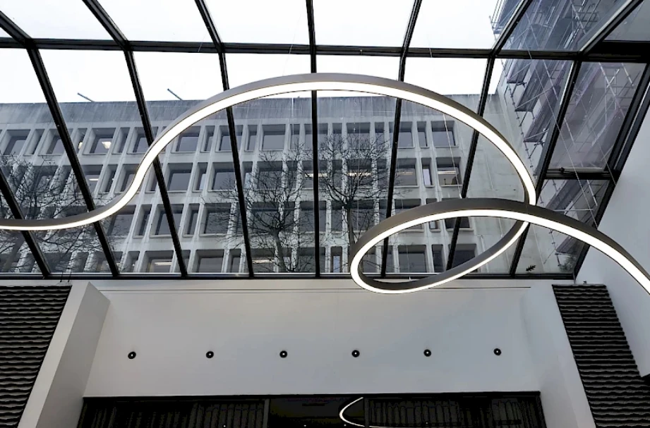 CL101515 LED Snake Shape Pendant - Modern Linear Light