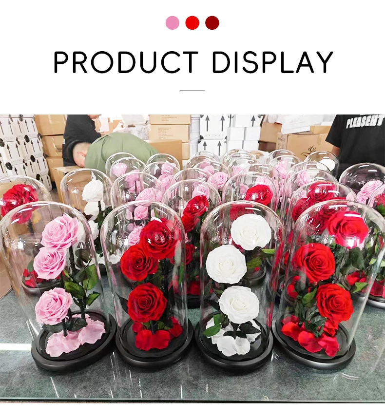 Immortal Flower Glass Cover Little Prince Red Rose Proposal ...