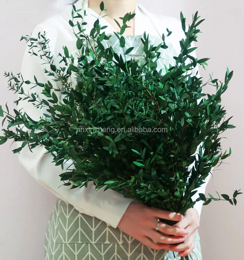 Small Leaves Eucalyptus Preserved Green Leaves Eternal Preserved Leafs ...