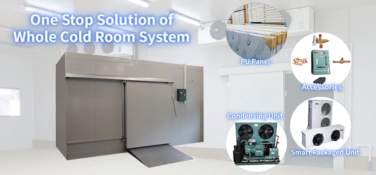 Walk in Cold Room Freezer Chiller for Logistics & Storage