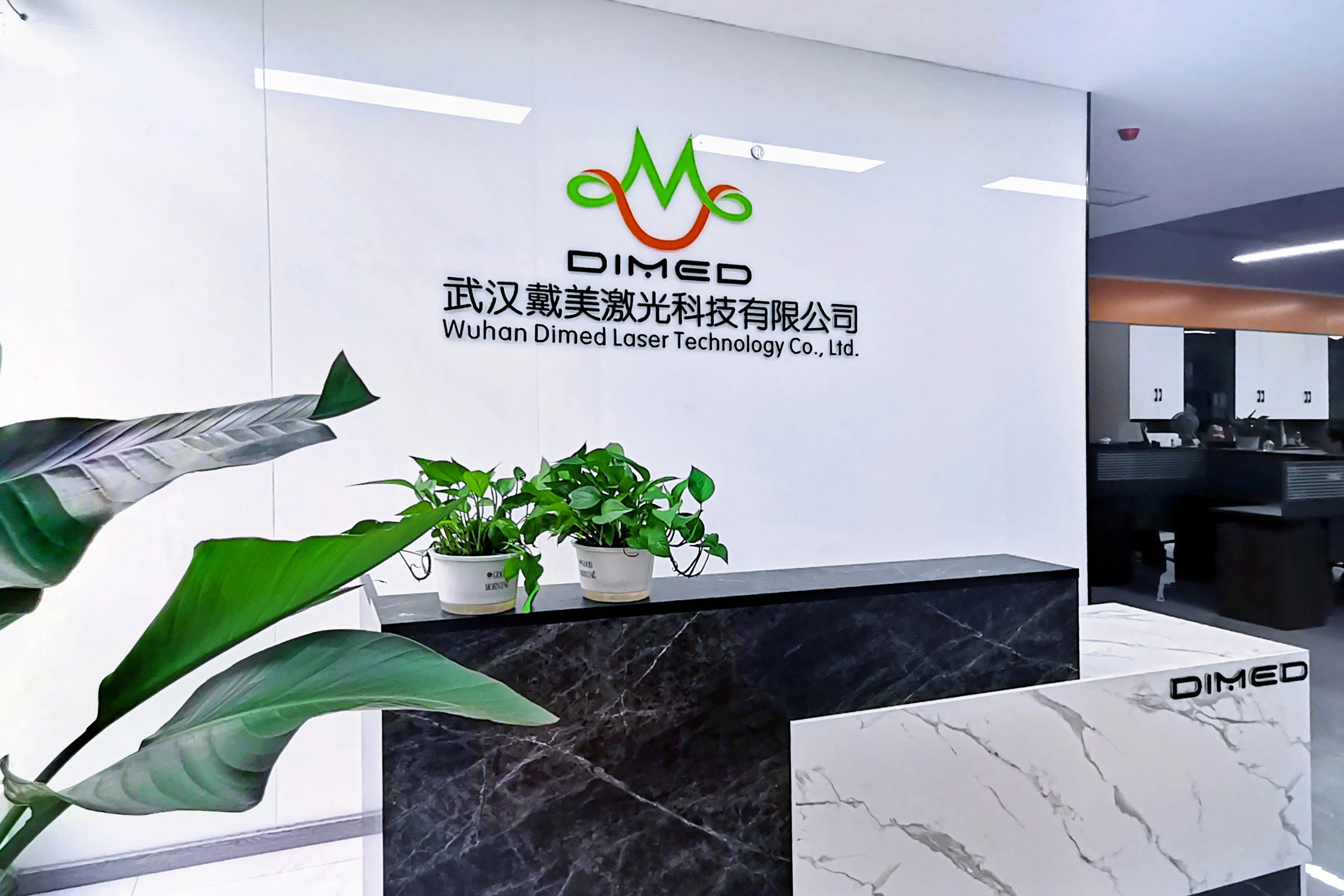 Portable ENT Surgery Laser Instrument - 810nm/980nm