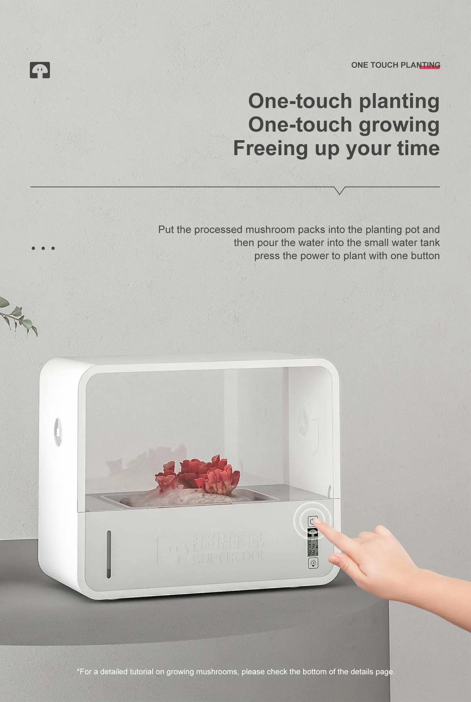 Portable Home Greenhouse Mushroom Growing Container Grow Box Mushroom ...