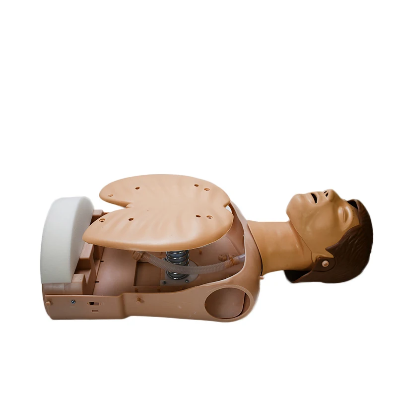 First Aid CPR Training Model - Essential Teaching Resources