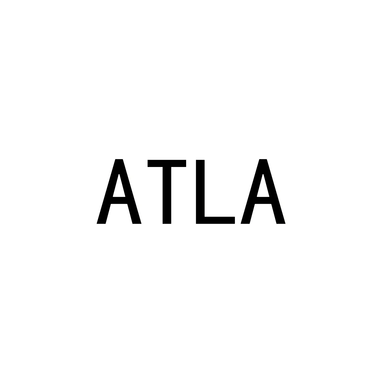 Company Overview - Atla Semicondutor Shenzhen Co., Ltd.