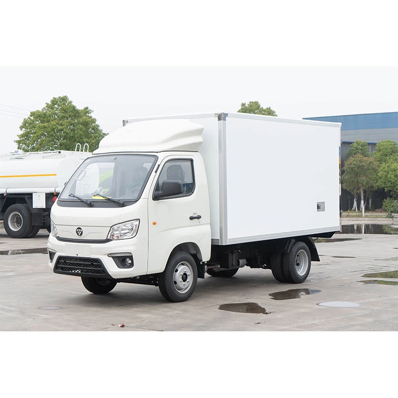 Foton TM300 Mini Van Cargo Truck - 2 Ton Light Truck