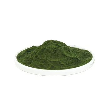 Supper Food Grade Epa Source Nannochloropsis Gaditana Powder - Buy ...