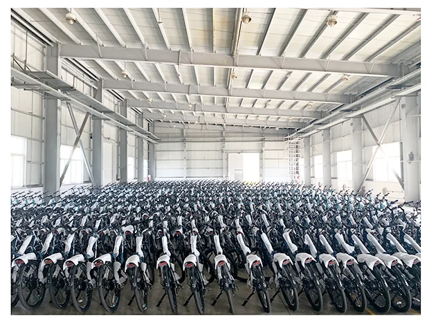 48V 20inch Fat Tire Electric Tricycles 3 Wheel Electric Scooter ...