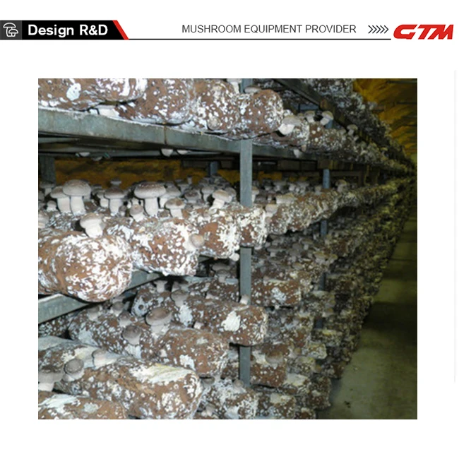 Aluminum Shelving White Button Mushroom Growing Rack - Buy Aluminum ...