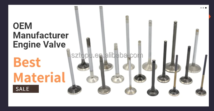 Auto Engine Parts Z16xep Engine Oem 55557862 Intake Valve For Chevrolet ...