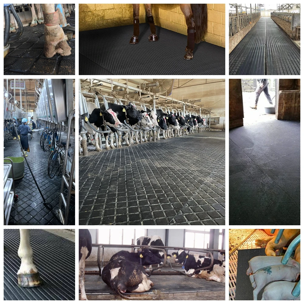 Rubber Stable Floor Cubicle Mat for Livestock and Horse Custom Cutting ...