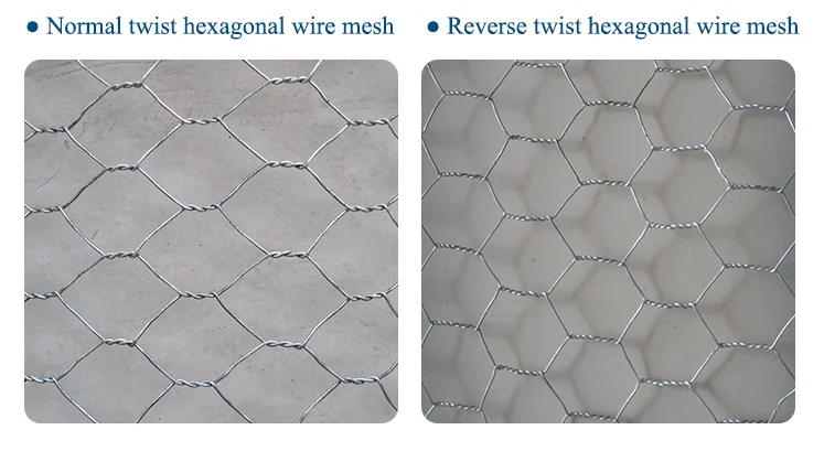 Galvanized Poultry Wire Mesh - Hexagonal Iron Net Fish Pot Wire