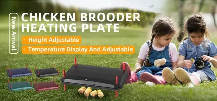 Chick Brooder Heating Plate Chicken Coop Heater 10" X 10* Poultry ...