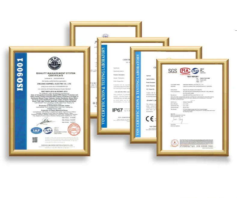 Rittal Cabinet SAIPWELL IP54 - Durable & Secure Solution