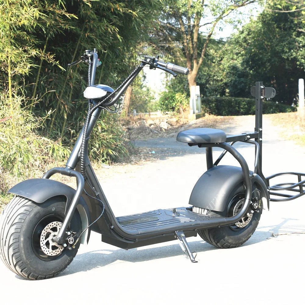 Citycoco Electric Scooter - 3000w Power with 60v Battery