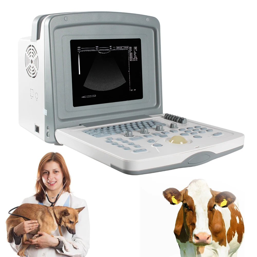 Portable Mini Ultrasound Veterinary Vet Rectal Linear Probe Ultrasound ...