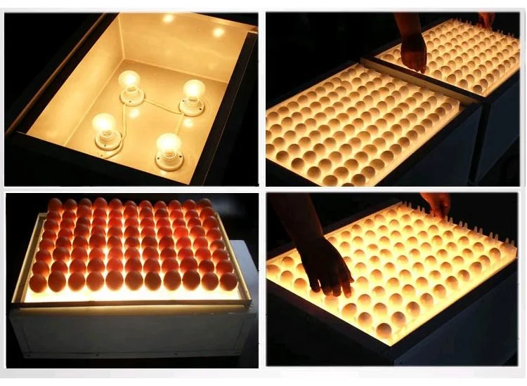 Alibaba.com: 88 Chicken Fertilised Unfertilized Egg Candle Tester ...
