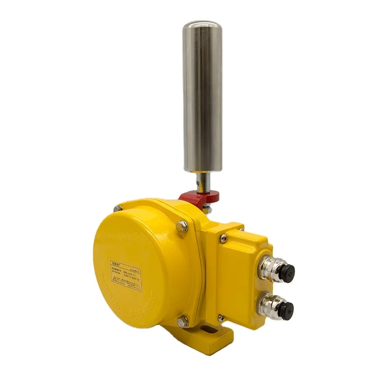 Conveyor Safety Switches