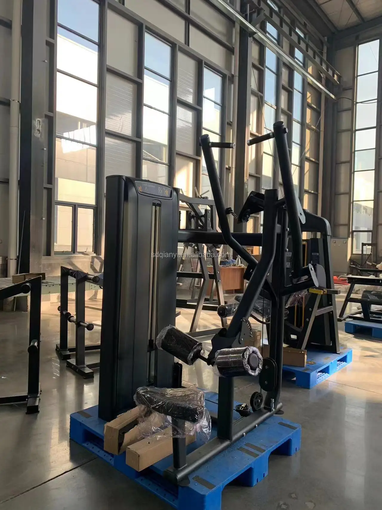 Commercial Seated Biceps Curl Triceps Extension Gym Equipment Biceps ...