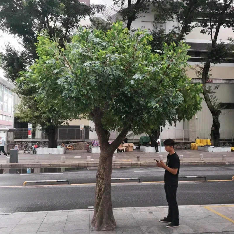 20 Feet Tall and 31 Feet Width Customized Artificial Evergreen Tree ...