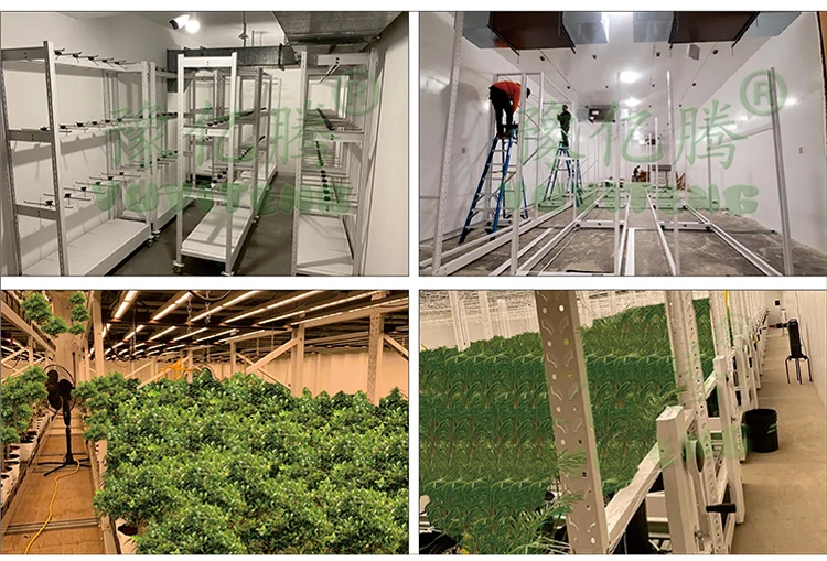 Mobile Grow Racking Automatic Grow Kit Racks Shelves Farming Movable ...