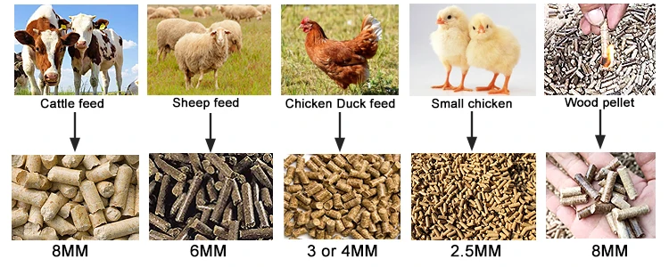Animal Feed Pellet Making Machine - Efficient & Easy to Operate