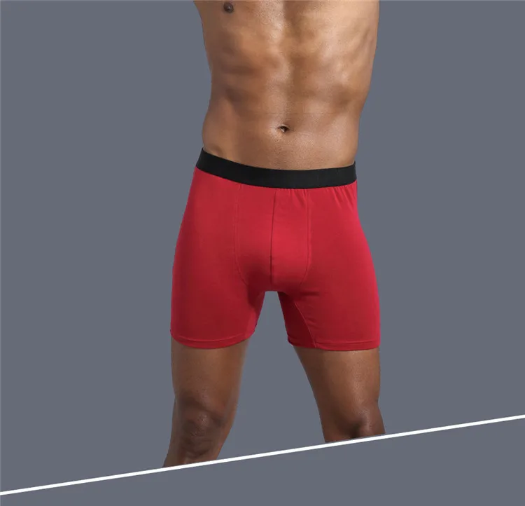 OEM Custom Logo Blank Solid Plus Size Sublimation Boxer Briefs