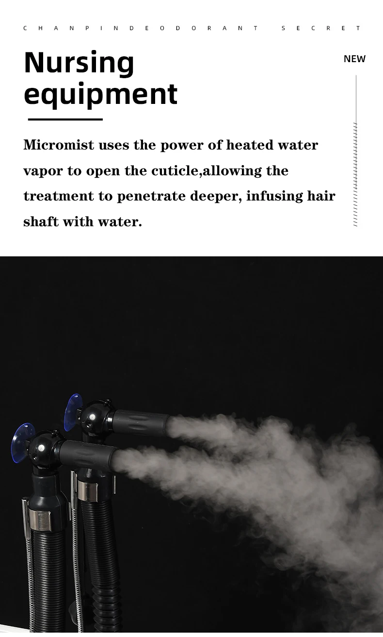 Nano Hair Steamer Machine with Double Tubes Ozone Hair Steamer