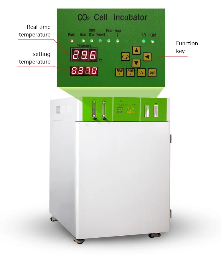 Biological Anaerobic Incubator Workstation - Buy Laboratory Anaerobic ...