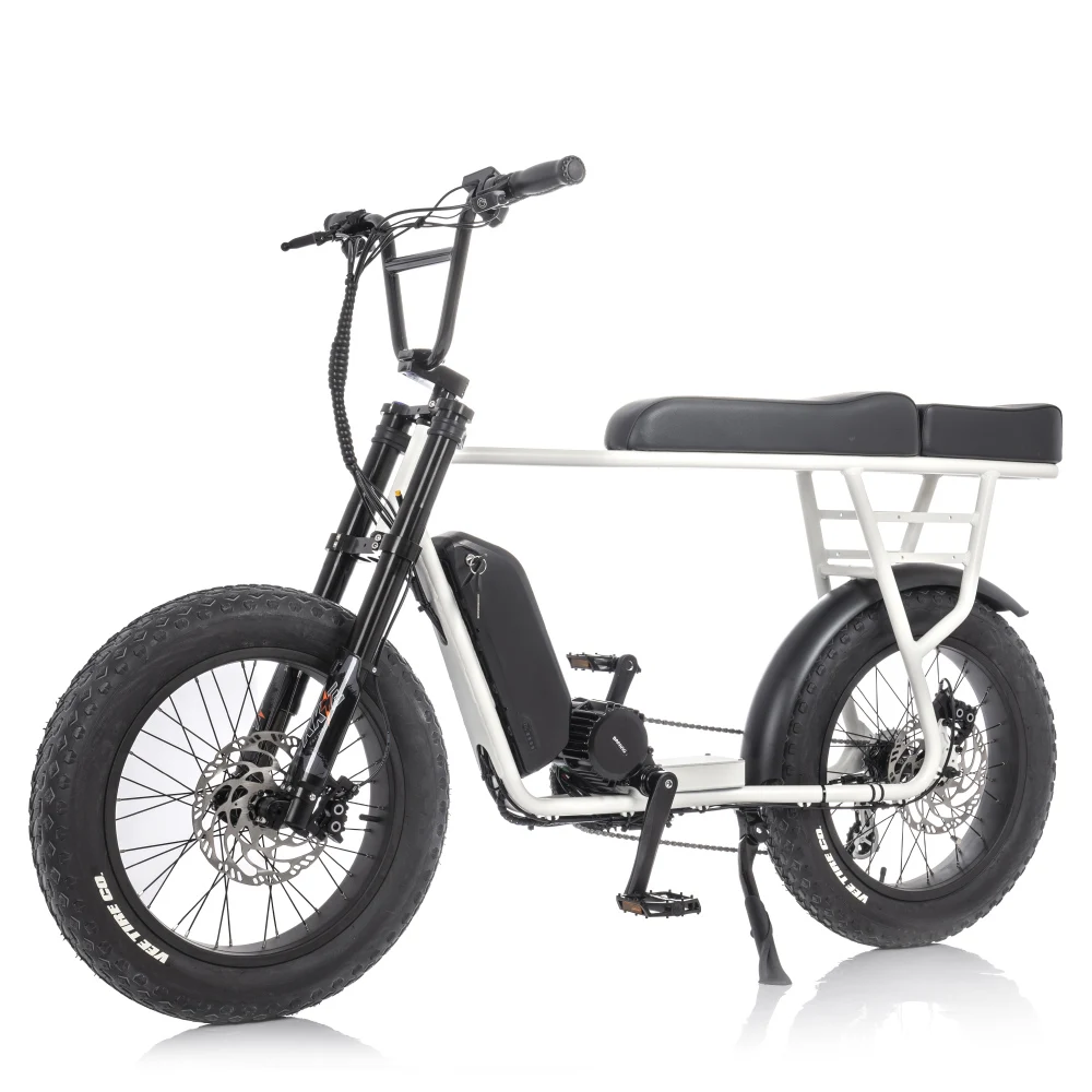 2023 Mario Ebike 1000w Bafang Mid Drive Motor 1000 Watt 20inch Fat Tire ...