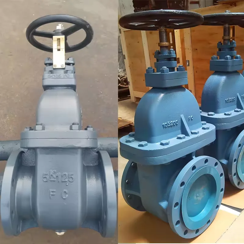 Jis 10k Marine Cast Iron Gate Valve For Industrial Use - Odm
