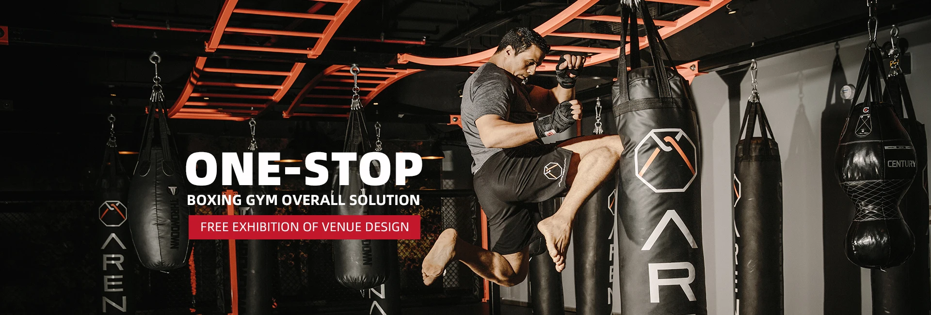 Portable MMA & Boxing Cage with Lifting Ring Equipment for Training ...