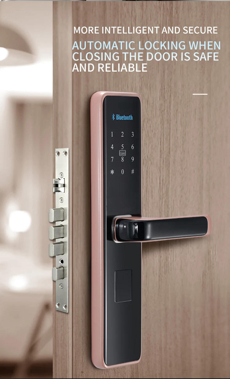 Aidmi Ttlock Tuya Smart Deadbolt Electronic Door Lock Set Wifi App ...