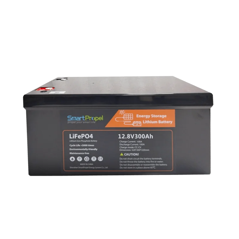 Lifepo4 Bms Lifepo4 Battery Pack 12v 48v 120ah 150ah 170ah 200ah 300ah ...