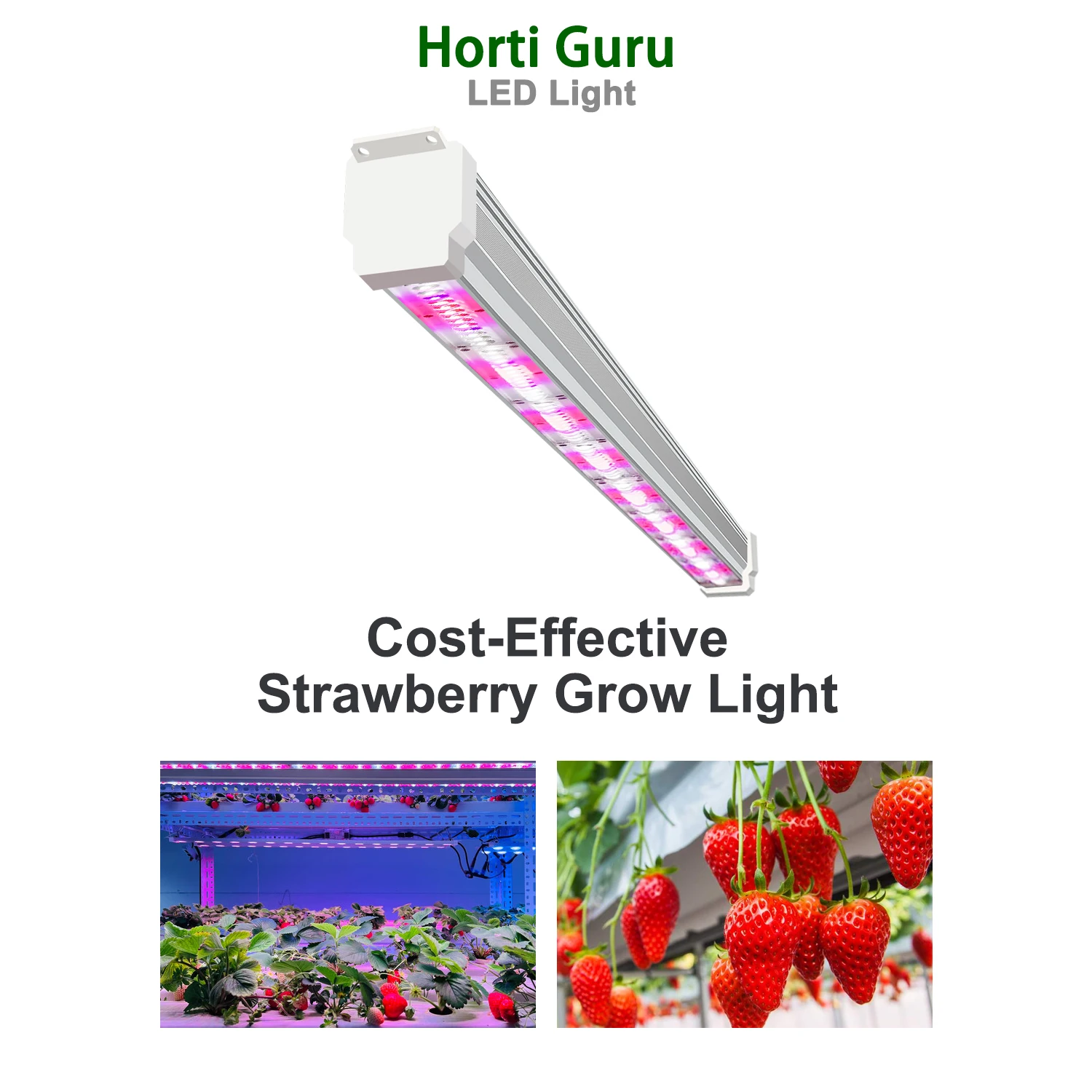 Full Spectrum Led Waterproof Vertical Farming Hydroponics Indoor Led ...
