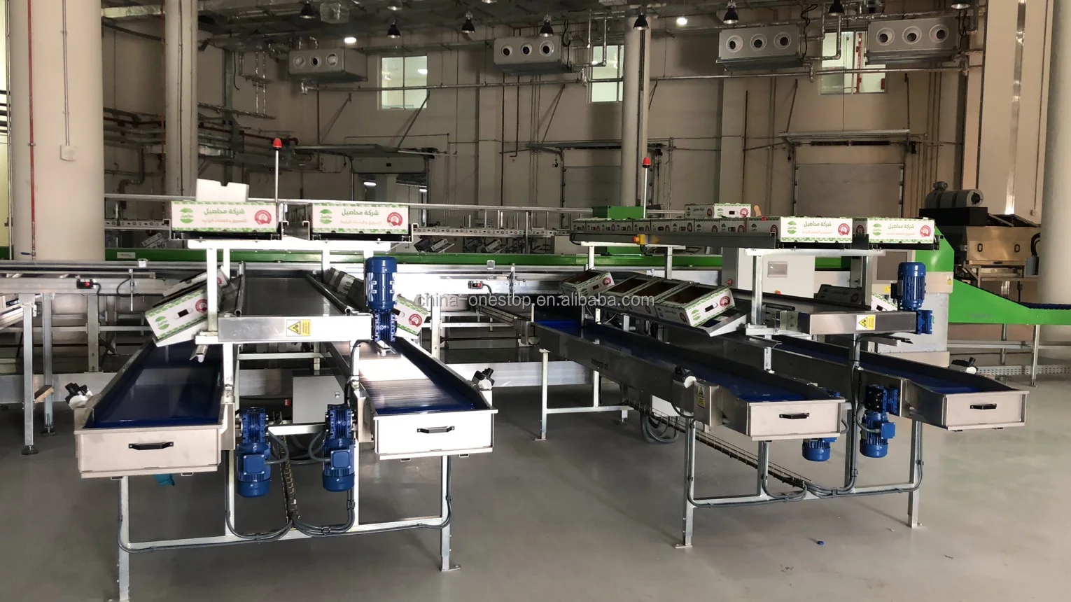 Pear Lemon Fruits Processing Line - Efficient & Reliable