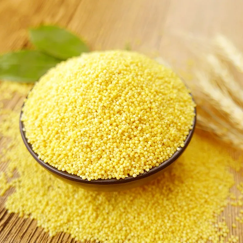 Alibaba.com: Organic Xiao Mi Millet Congee, Hulled Yellow Millet, Small ...