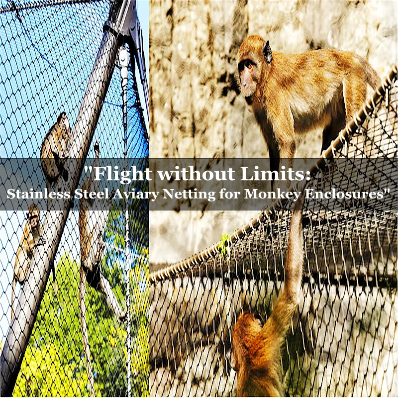 Bird Netting Flexible Cable Zoo Enclosure Fence Tiger Cages Stainless ...