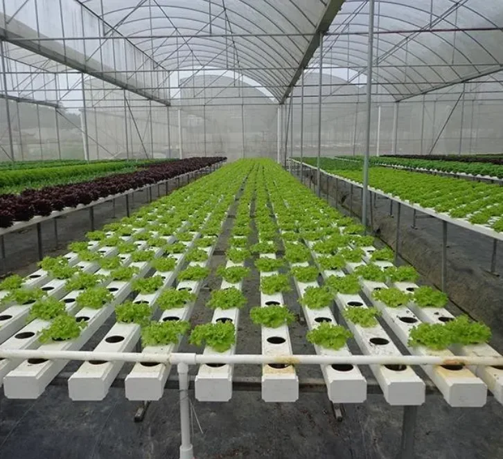 Vertical Indoor Agriculture - Efficient Hydroponic Solutions
