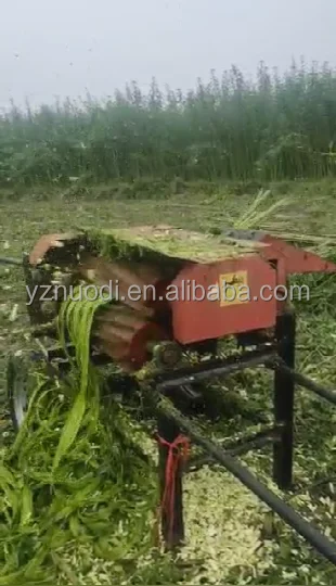 Philippines Abaca Fiber Decorticator - Efficient & Durable