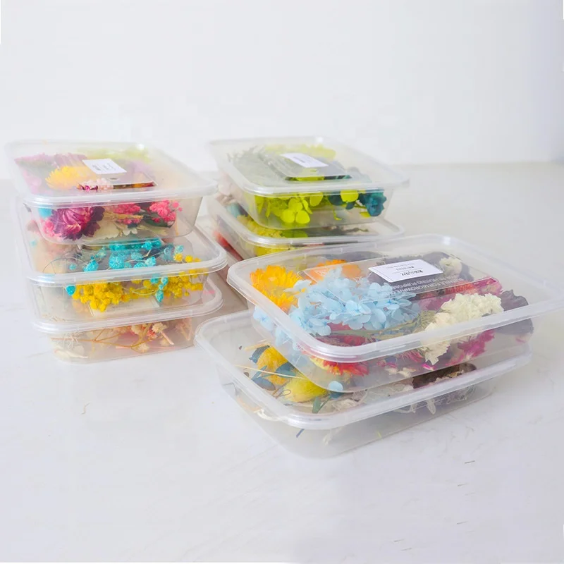 O-046 Handicraft Dry Flower Mixed Pack For Art Crafts Fresh Real ...