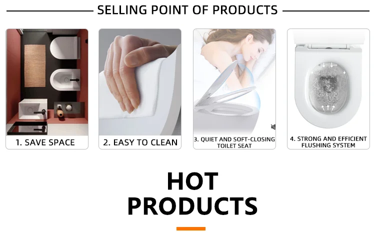 Dual Flush Elongated Toilet in White - Wall Hung Style