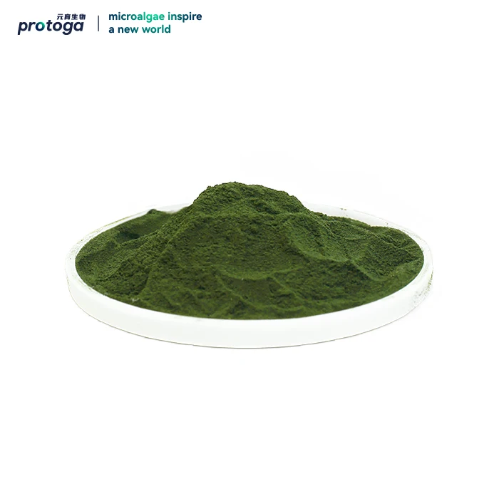 Supper Food Grade Epa Source Nannochloropsis Gaditana Powder - Buy ...