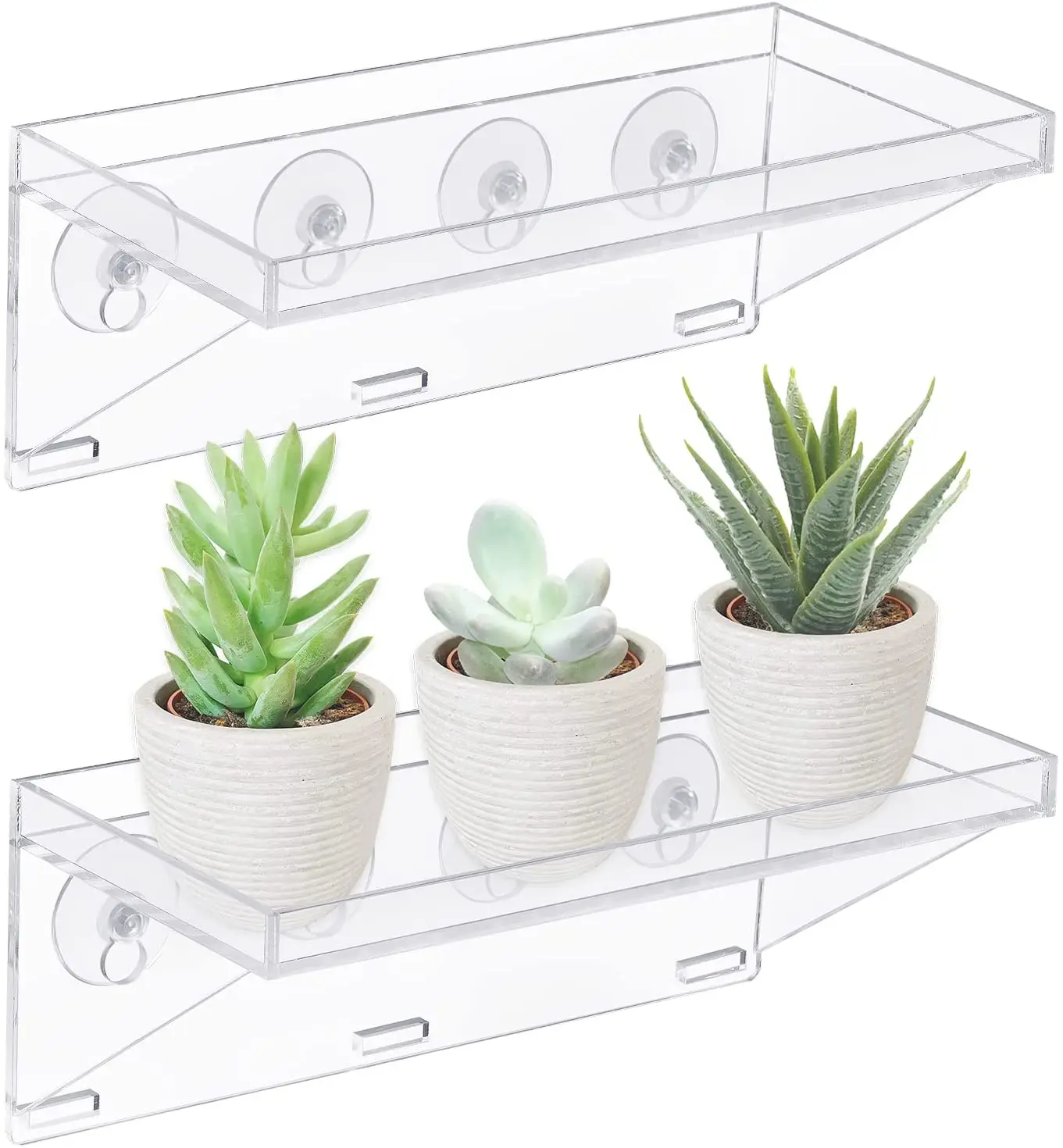 2 Pack Clear Acrylic Window Plant Box 12'' X 5.5'' Strong Suction Cup ...