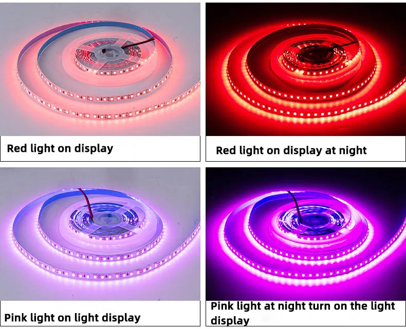 12V 2835 Strip Lights - Durable, Efficient, and Versatile