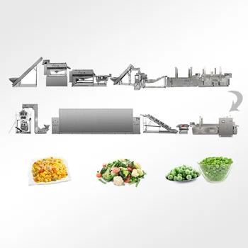 Tca Automatic Green Leafy Dehidrated Fruit & Vegetables Lettuce Cutter ...