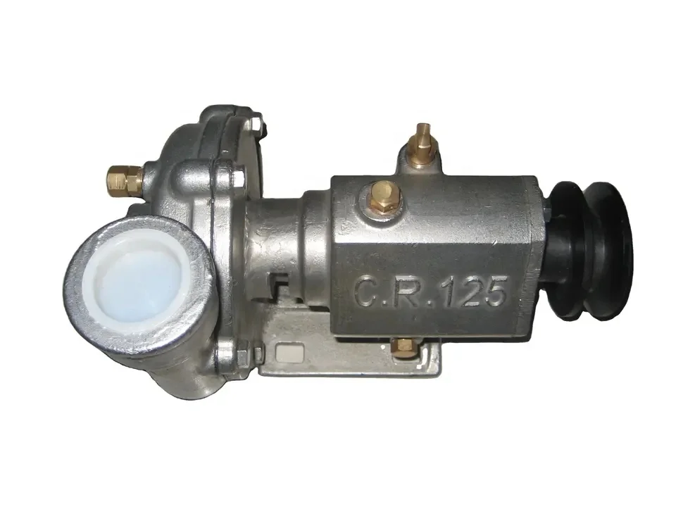 Stainless Steel Sea Water Pump for Marine Engines - CR100, CR125, CR150 ...