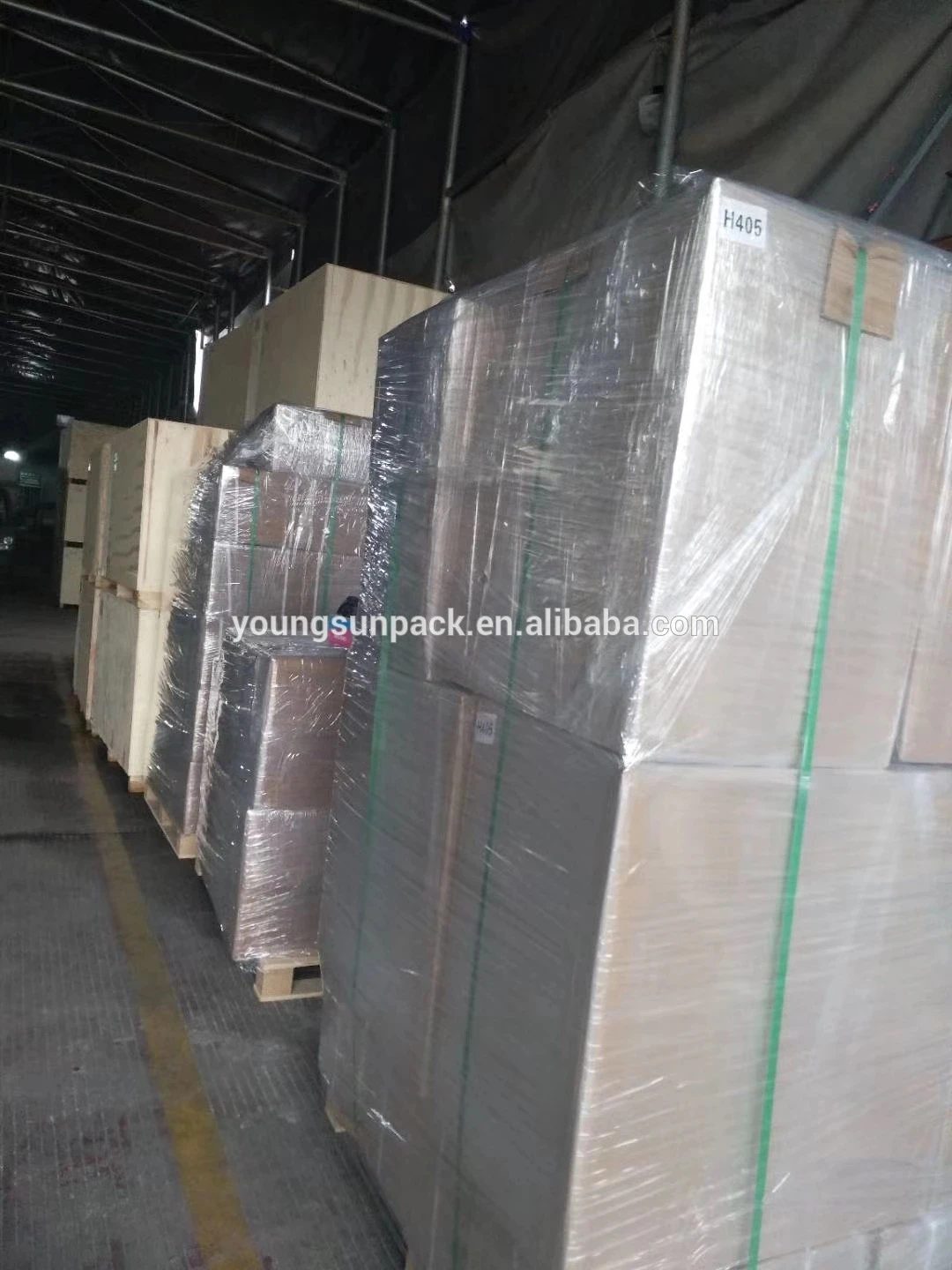 Q31-19 With Handle Classic For 19mm Battery Strapping Tool Pp Pet ...