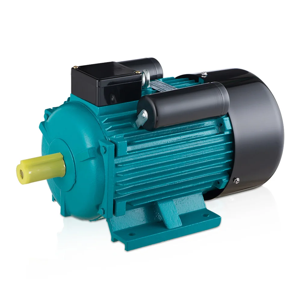 2hp Induction Motor Capacitor Oficial Online | www.pinnaxis.com